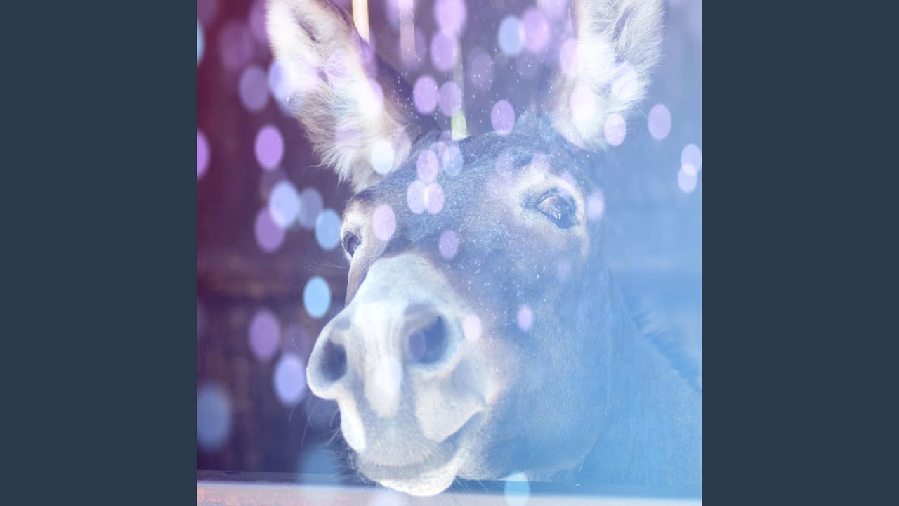 Dying Donkeys - YouTube