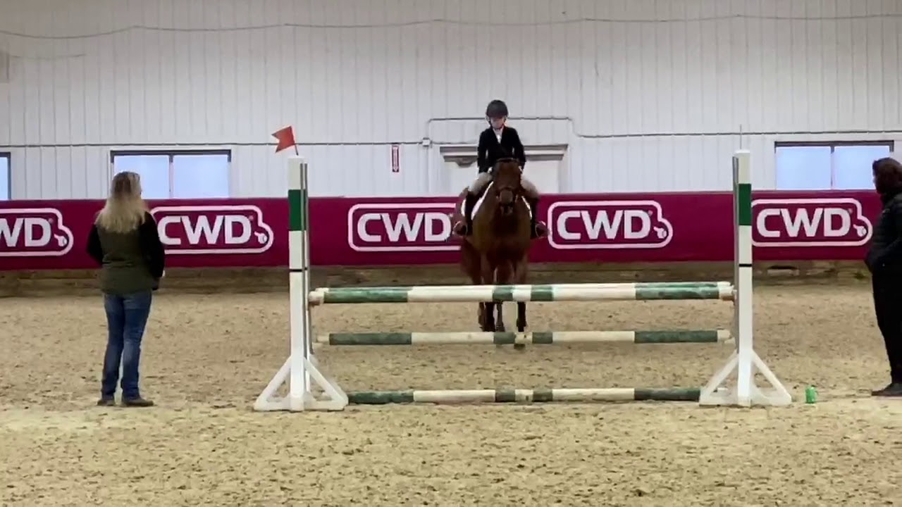 Karrington Hall 2020 Equine Affaire Submission Video - YouTube