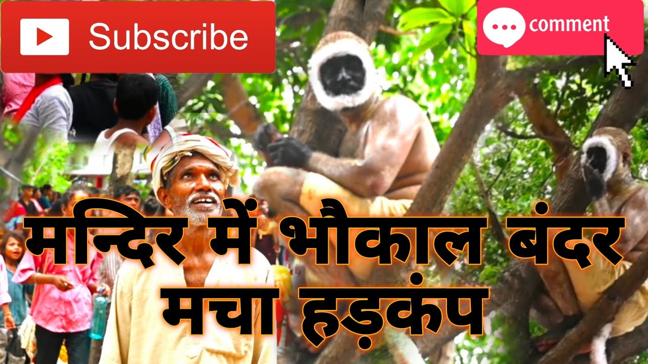 मन्दिर में आया भौकाल बंदर मचा हड़कंप || Super Monkey Man Video अगस्त ...