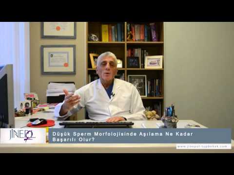 Düşük Sperm Morfolojisinde Aşılama Ne Kadar Başarılı Olur?