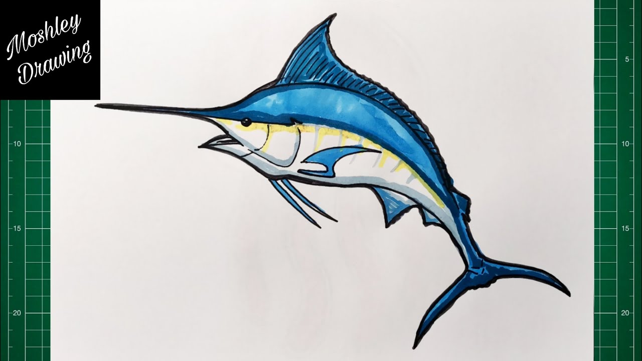 How to Draw a Swordfish - YouTube