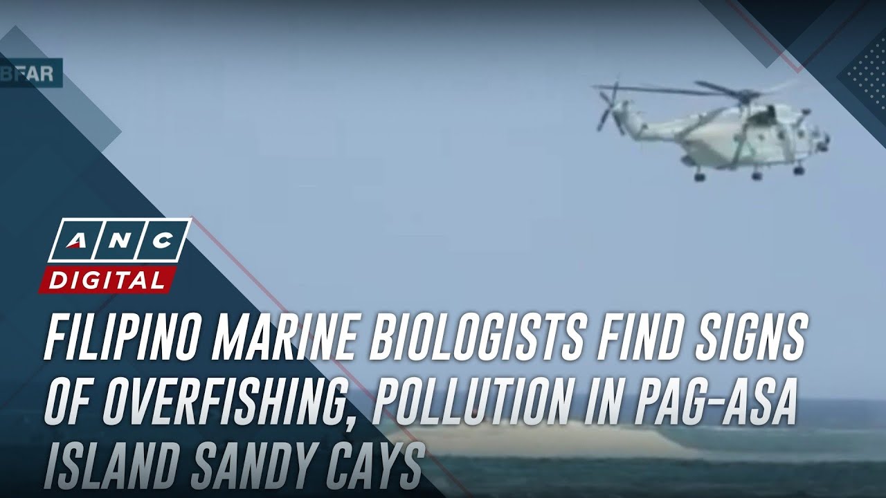 Filipino marine biologists find signs of overfishing, pollution in Pag ...