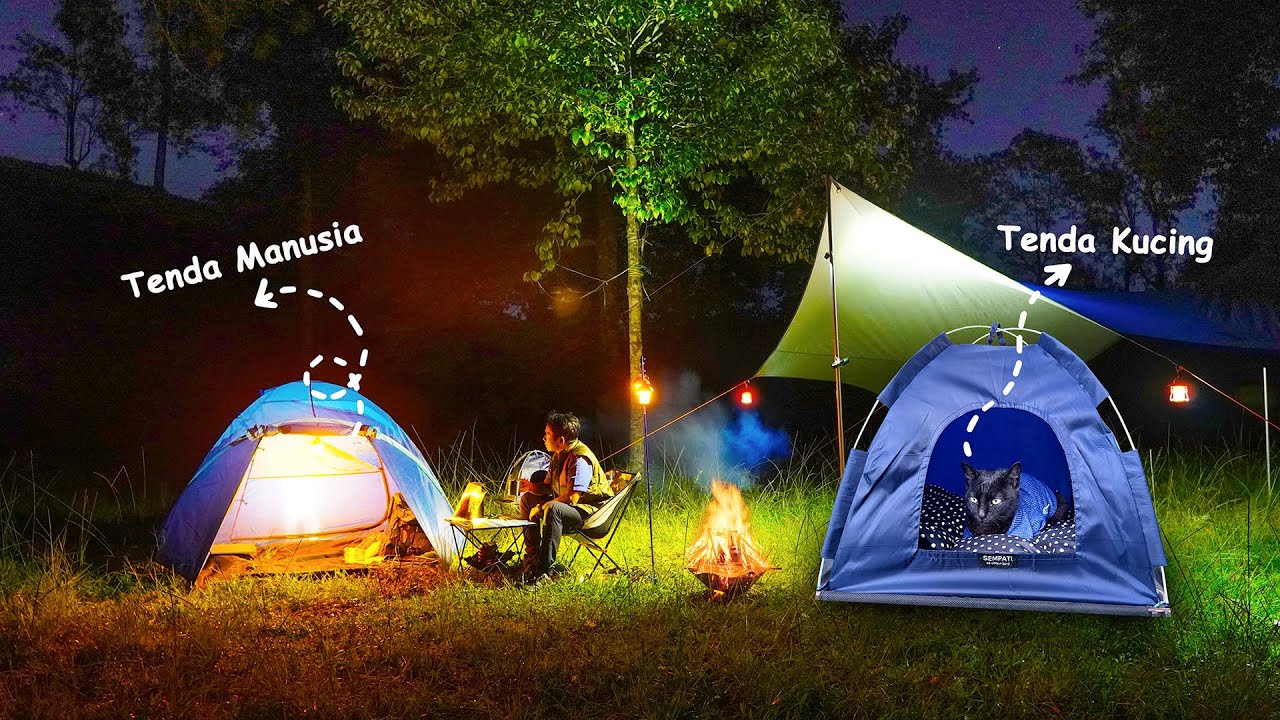 Camping Bersama Kucing | Tenda Kucing Lebih Mewah Dari Tenda Manusia ...