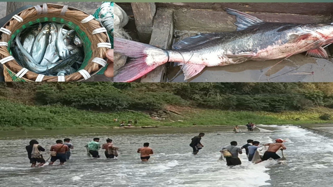 One big fish with other many fishllCast net fishing.🐟 - YouTube