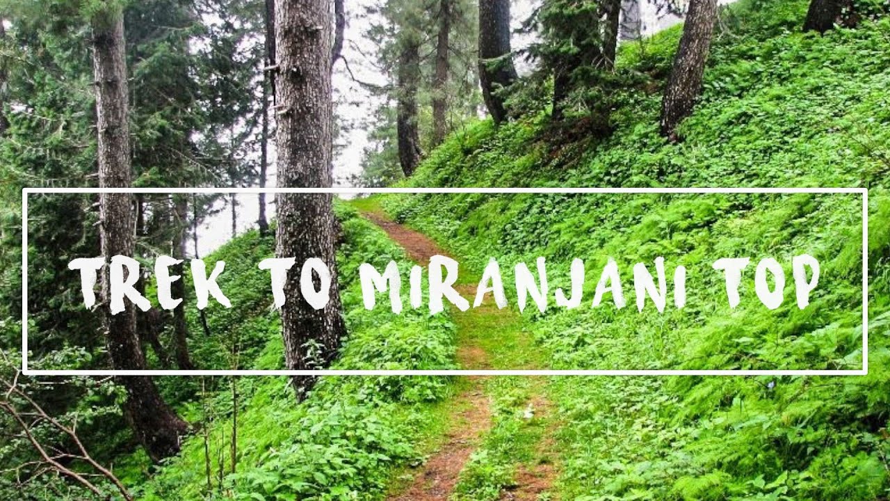 Trek to Miranjani Top 2019 | Travel Video | Miranjani Trek | Nathia ...
