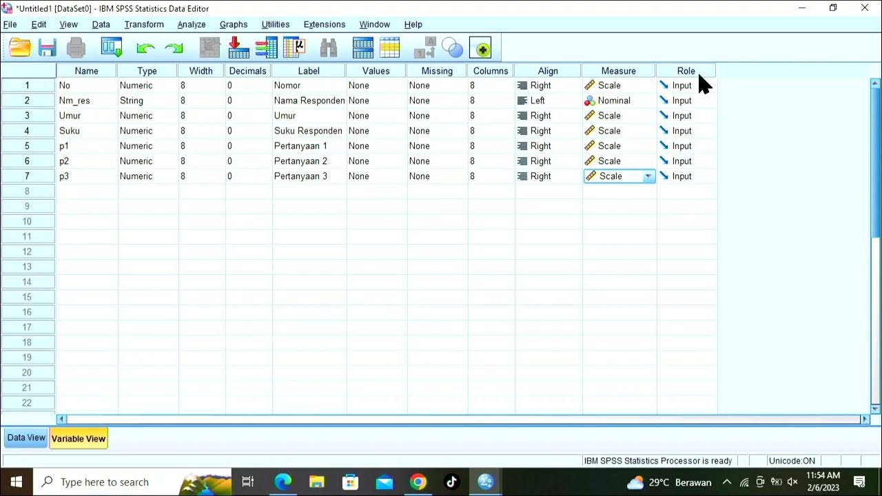 Cara Membuat Variabel View dan Input Data View di IBM Spss 25 - YouTube