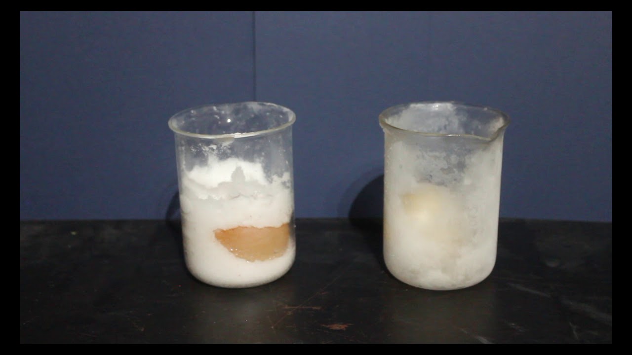 Egg membrane experiment (1. Extremophiles, Mars Collection of ...