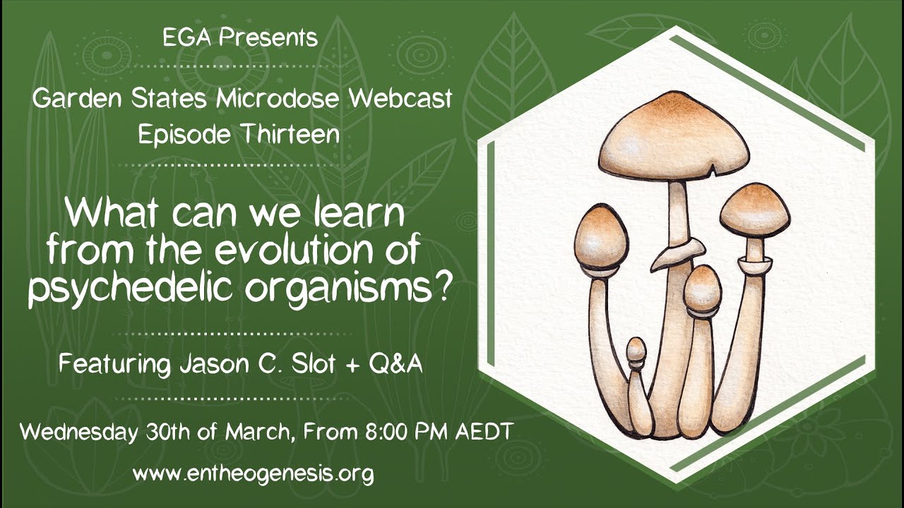 Jason Slot - What can we learn from the evolution of psychedelic ...