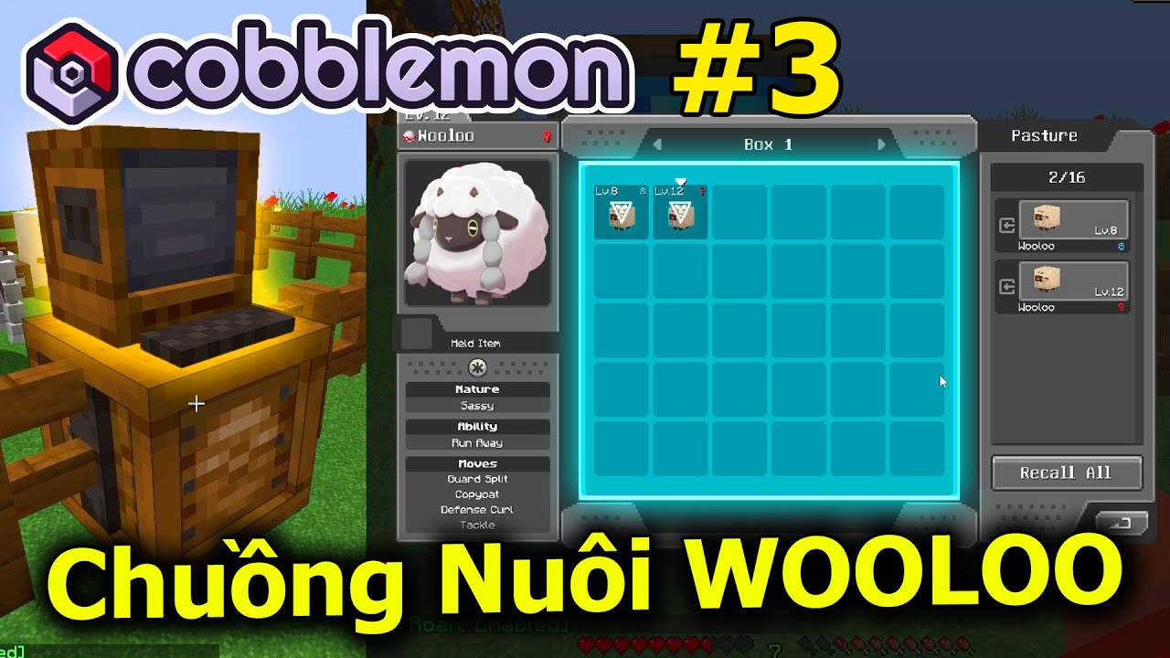 Xây Dựng Chuồng Nuôi WOOLOO | Minecraft: Cobblemon #3 - YouTube