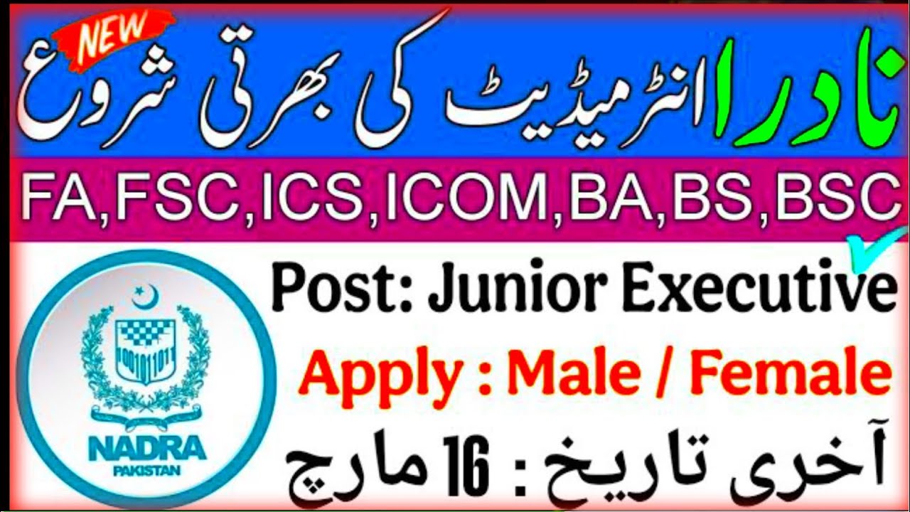 NADRA Jobs 2025: Junior Executive (Intermediate) | How to Apply Online ...
