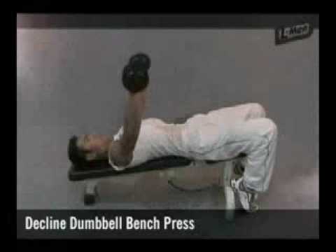 Gerakan Latihan Otot Dada Bawah - DECLINE DUMBBELL BENCH PRESS - YouTube