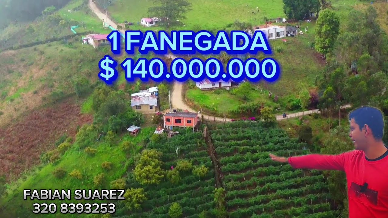 PARCELA AGROSESTINIBLE DE 1 FANEGADA - YouTube