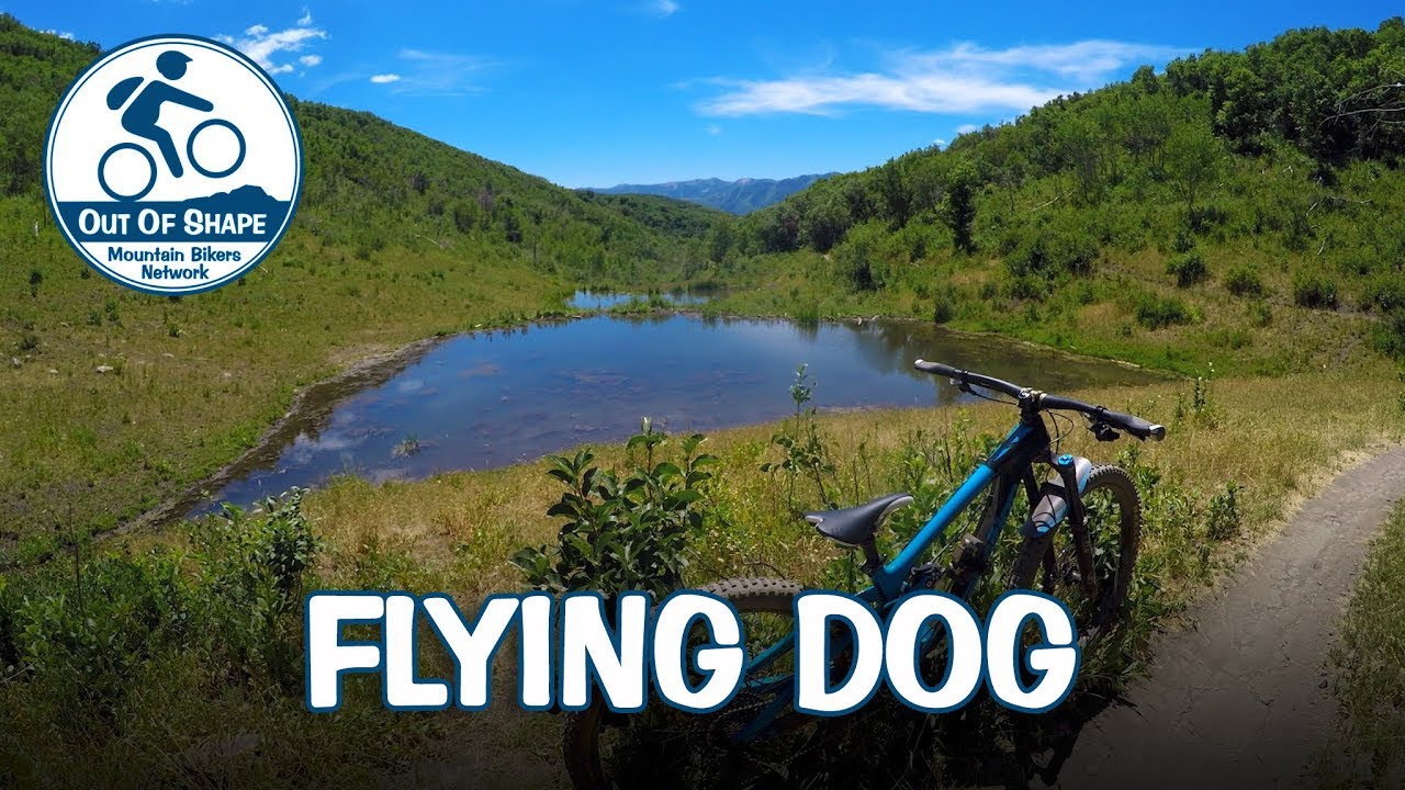 Flying Dog | Park City, Utah - YouTube
