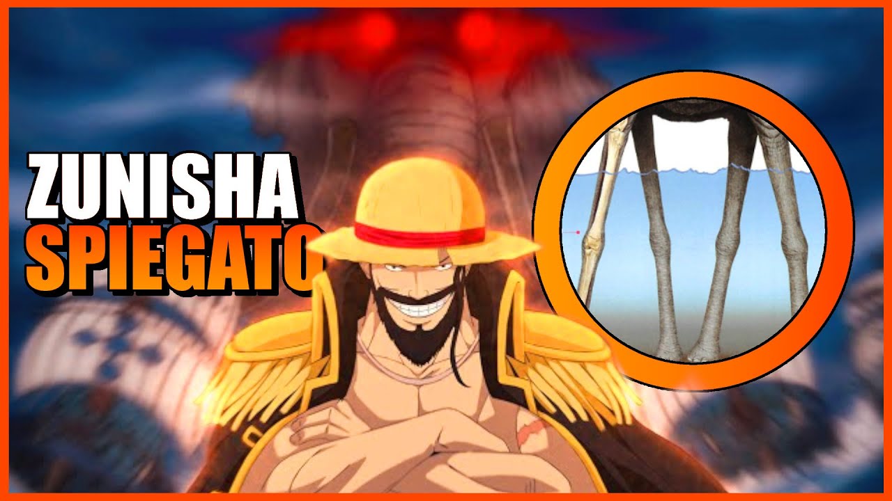 IL RAPPORTO TRA ZUNISHA E JOYBOY SPIEGATO | SBS DI MERAMERA (one piece ...