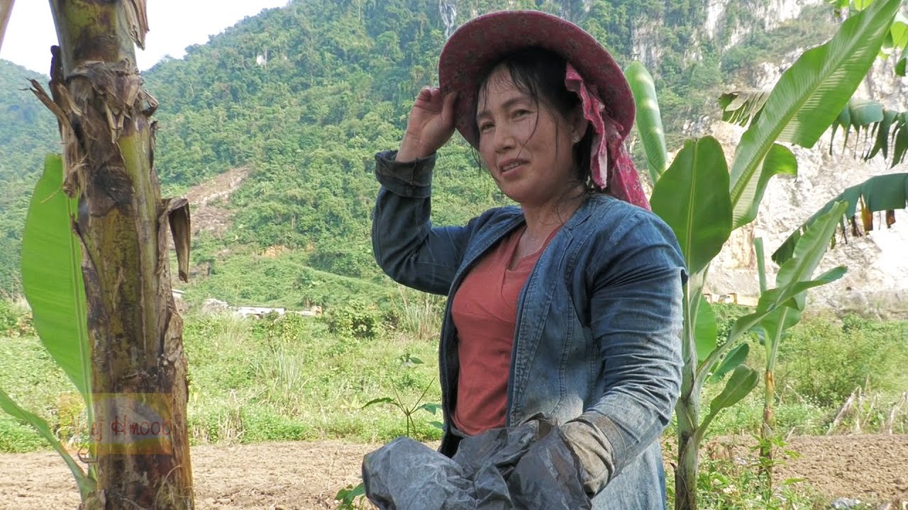 Mus Cob Pob Kws - YouTube