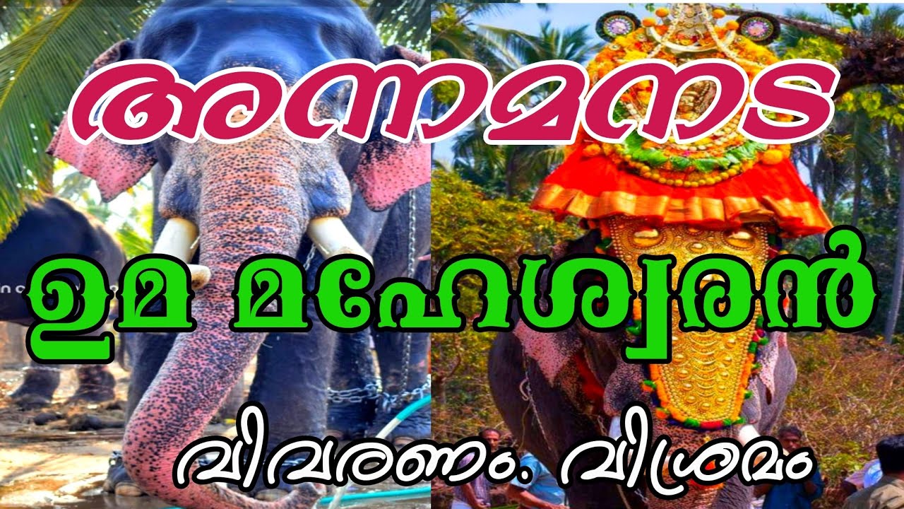 Annammanada uma maheswaran# അന്നമനട ഉമ മഹേശ്വരൻ - YouTube