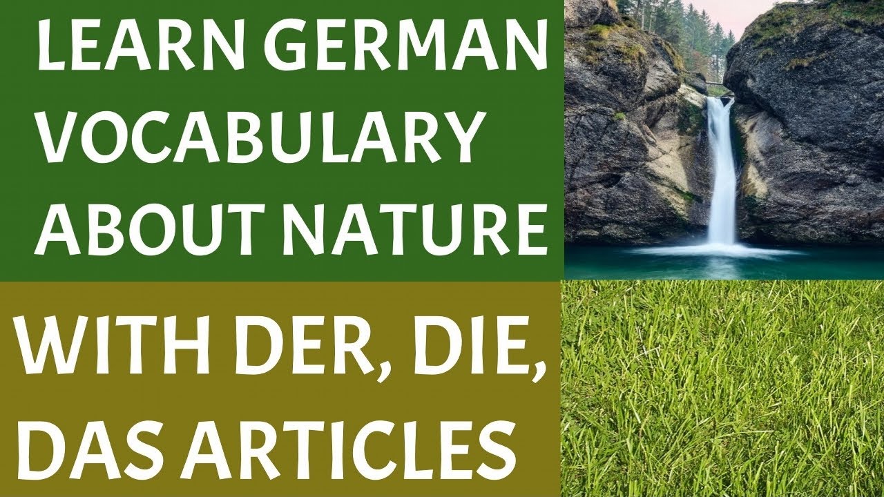 Nature in German: Vocabulary with Articles & English Translations - YouTube