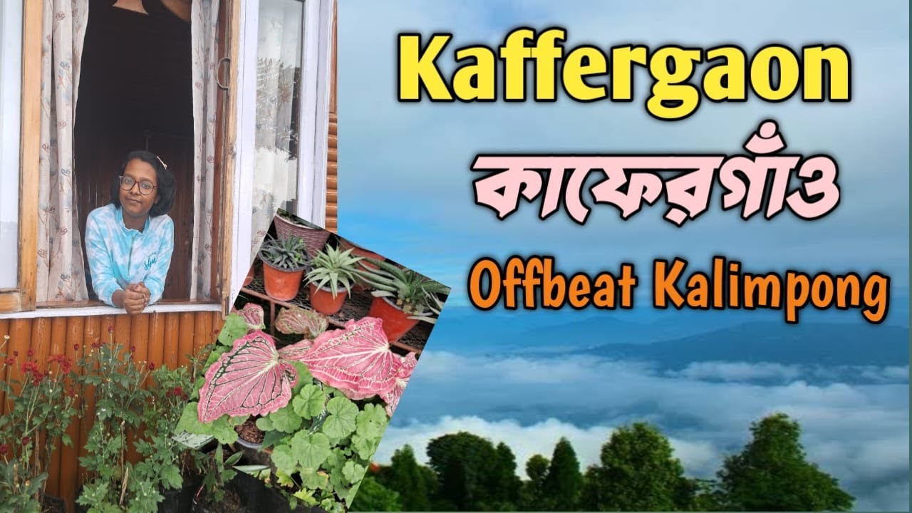 Kaffergaon Offbeat Kalimpong//Kaffergaon//Offbeat Kalimpong - YouTube