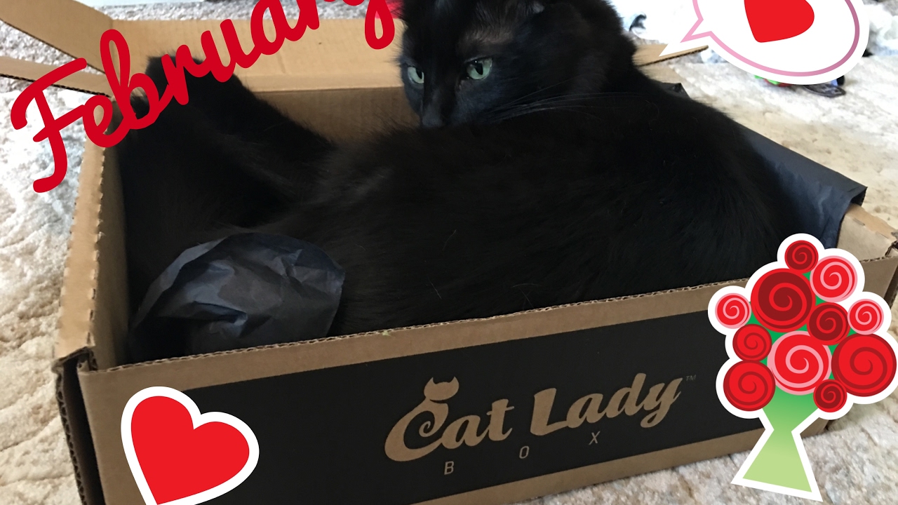 Cat Lady Box February 2017 Unboxing - YouTube