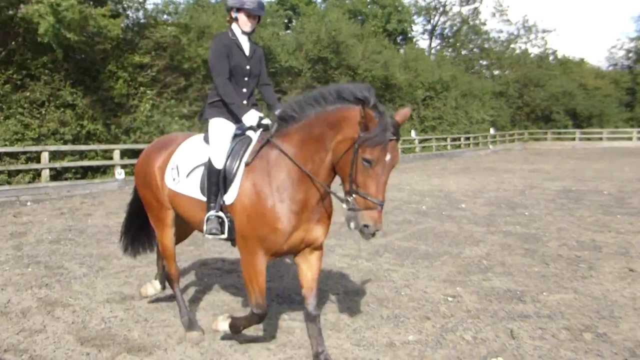 Prelim 14 at Fullers Hill Farm - 70% [1st] - YouTube