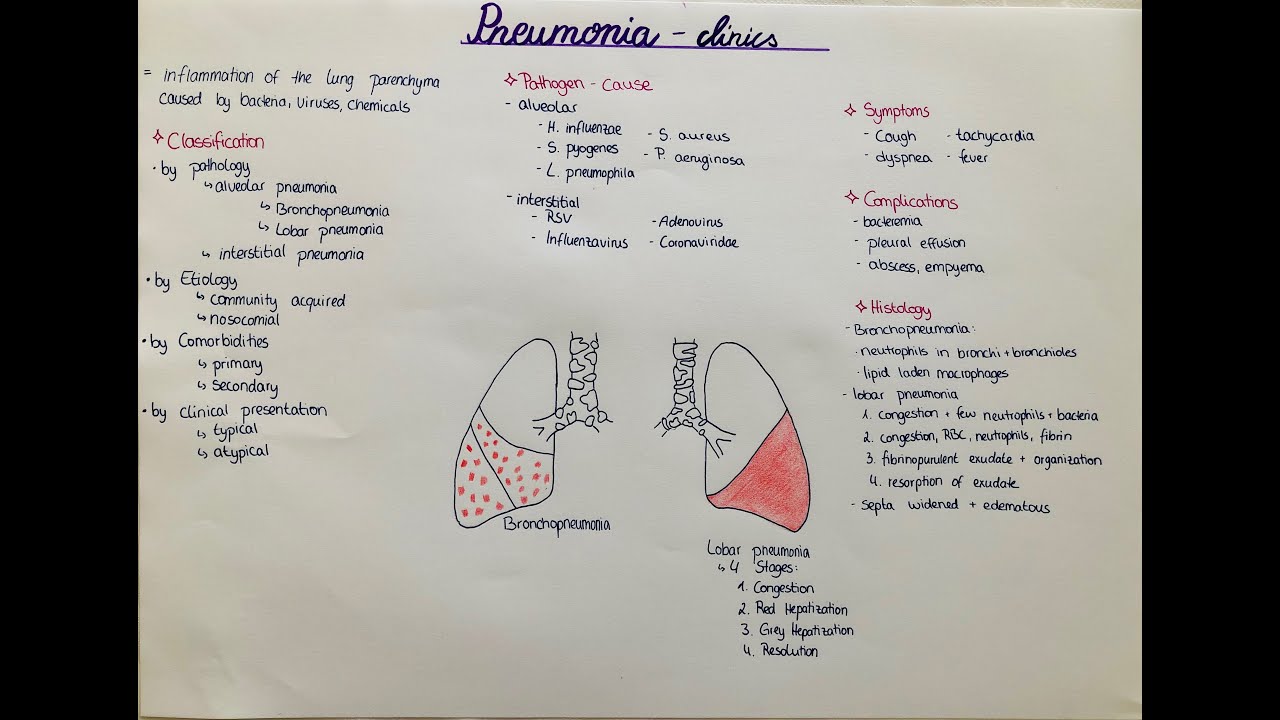 Pneumonia - types, classification, histology, clinics - YouTube