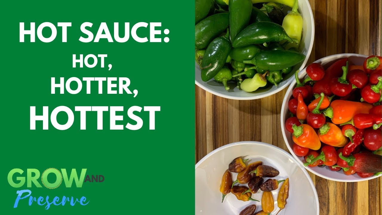 Hot Sauce From Scratch: Hot, Hotter, Hottest-- So Easy! - YouTube