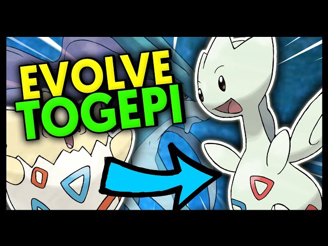 Evolution How To Evolution Togepi