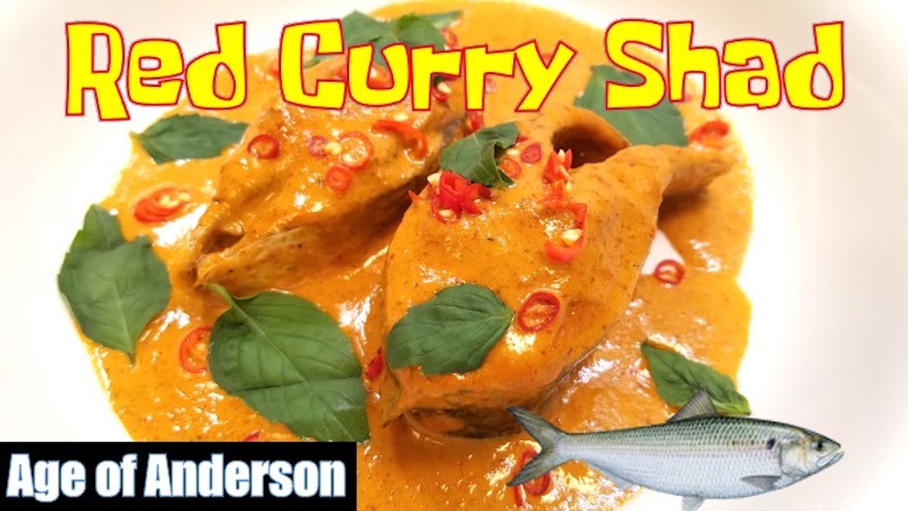 Semi Boneless Shad Curry - YouTube