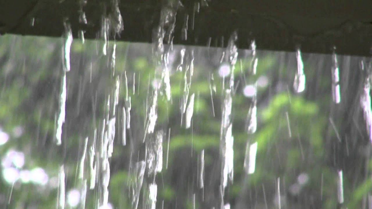 BenTrust Insurance Property Coverage - YouTube