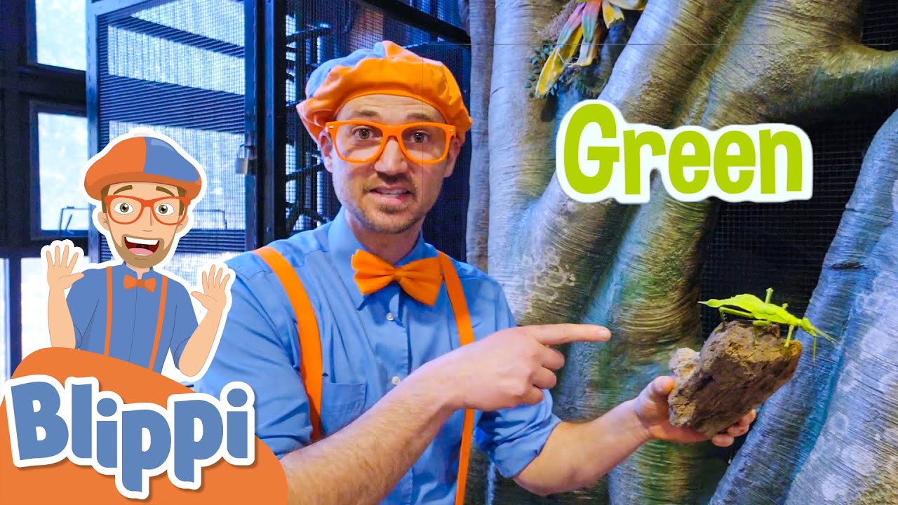 Blippi Visits The Zoo & Feeds The Animals! | Learn About Animals ...