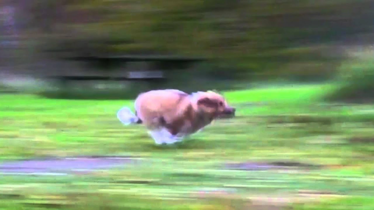 Ten More Days - Teaser Trailer - YouTube