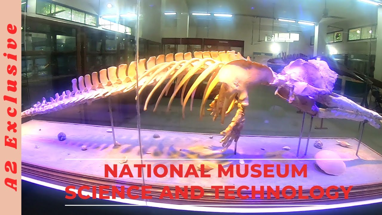 National Museum of Science and Technology 🧬 Dhaka Bangladesh 👩‍🎓 Best Place to visit for ...