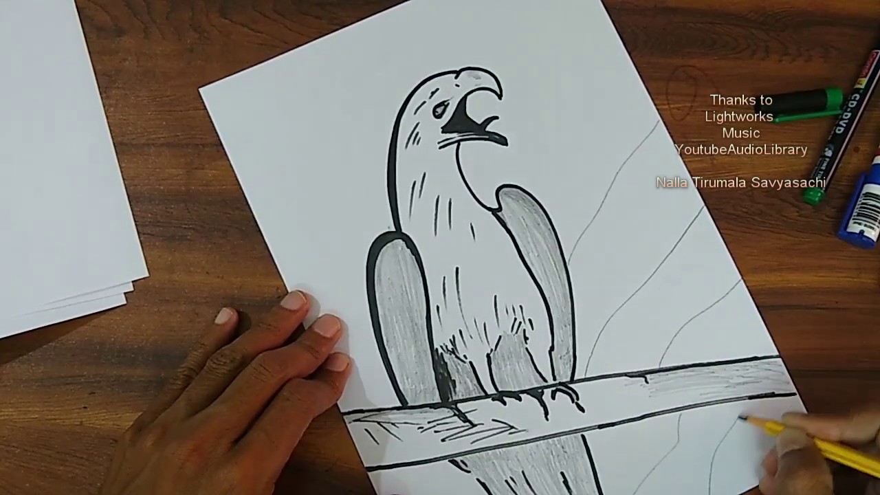 How to draw Bird Chirping - YouTube