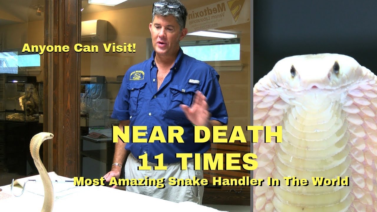 Snake Venom Laboratory Near Orlando, Fl. Reptile Discovery - YouTube