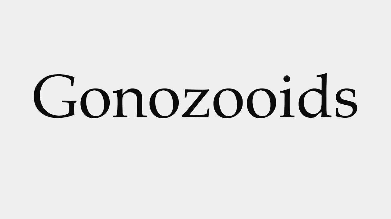 How to Pronounce Gonozooids - YouTube