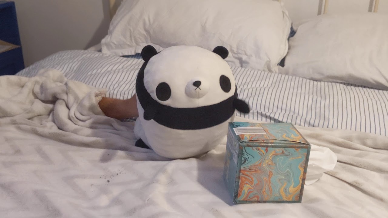 Welcome to Panda Time!! - YouTube