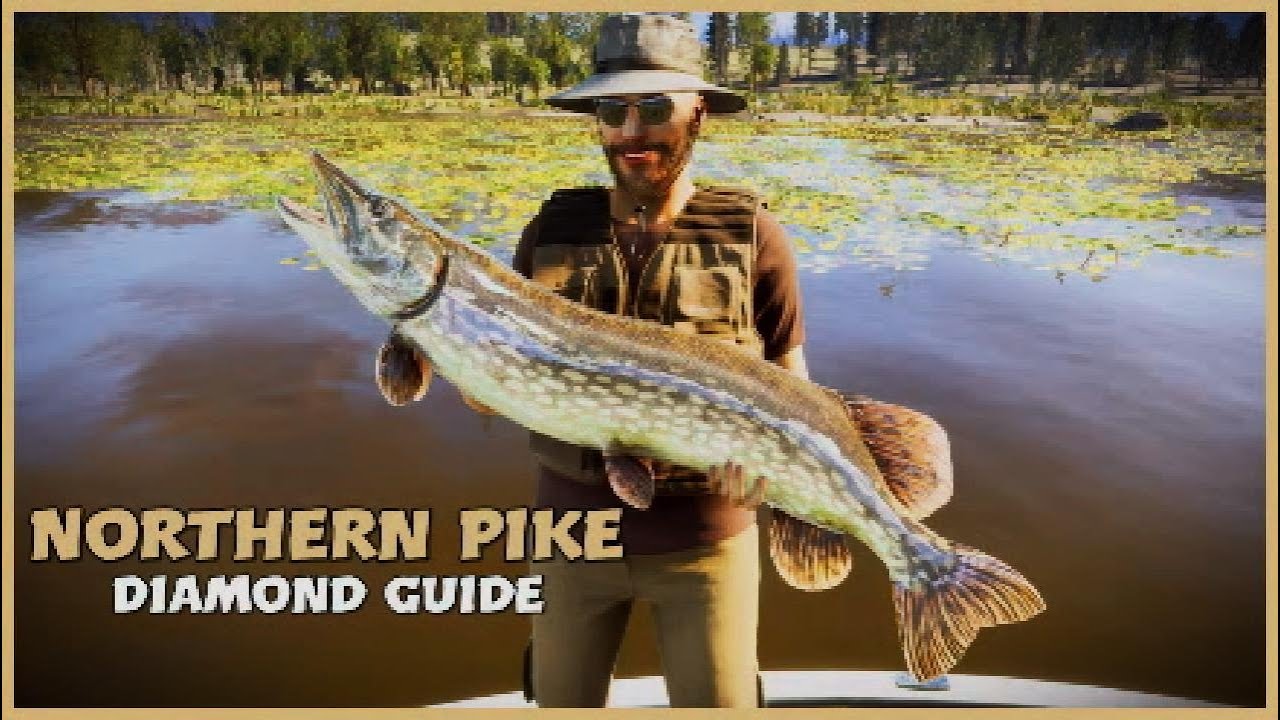 The ANGLER | Diamond Pike Guide - YouTube