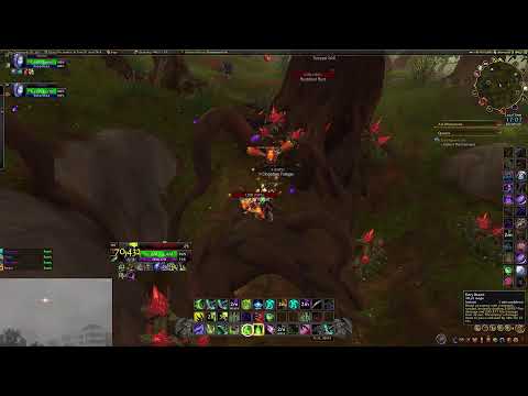 Nossie playing World of Warcraft