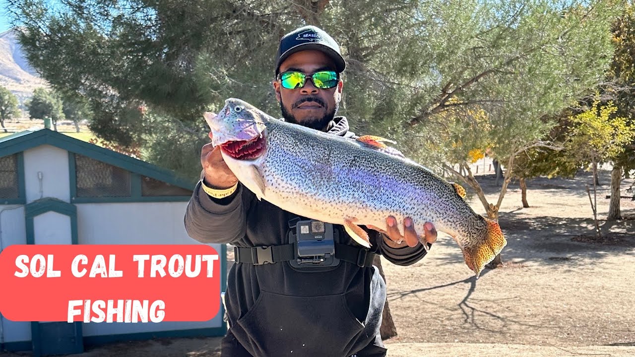 Sol Cal Trout Fishing (Lake Hesperia) - YouTube