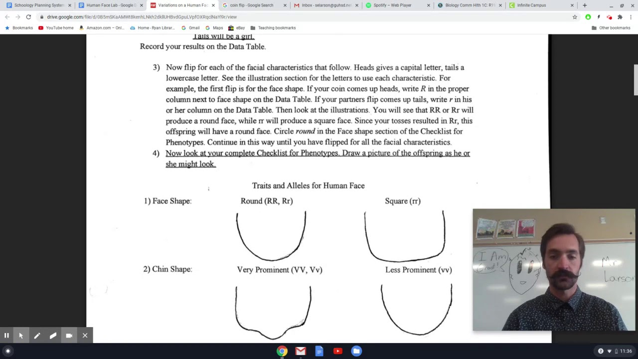 Human Face Lab - YouTube