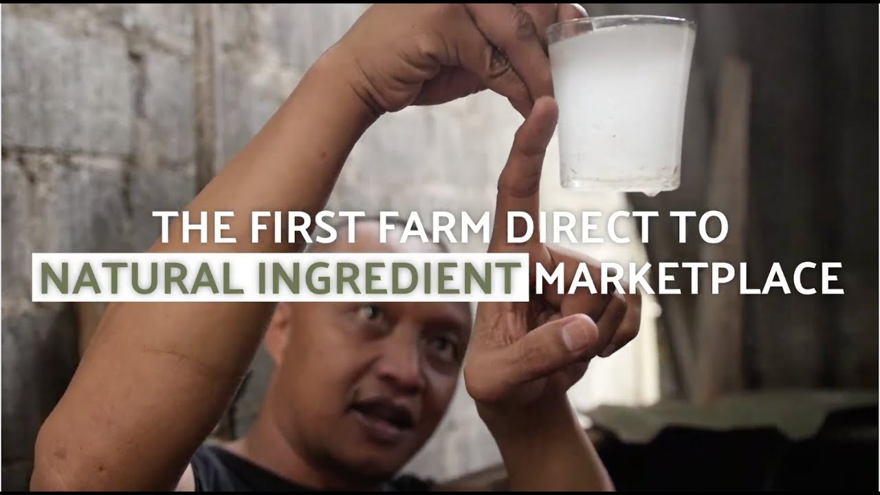 Introducing Nature Packaged: Natural Ingredients Straight From The ...