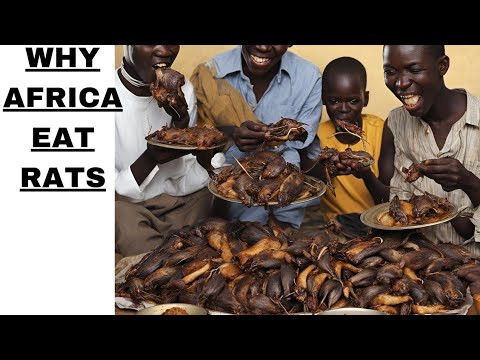 AFRICAN VILLAGE THAT EAT RATS - YouTube