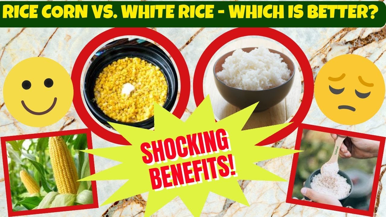 🌽RICE CORN: A NUTRITIOUS ALTERNATIVE WITH SURPRISING HEALTH BENEFITS🌾 ...