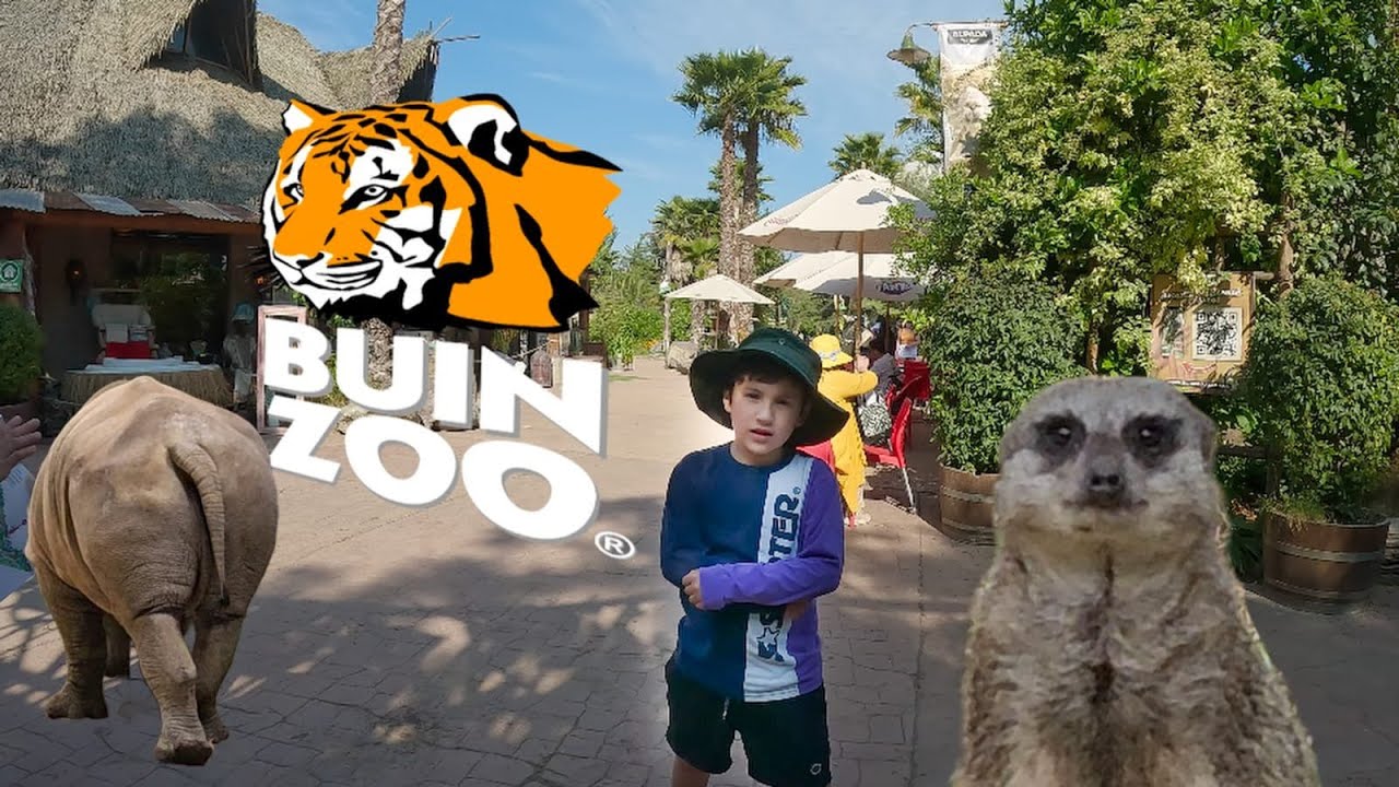 Recorrido por BuinZoo 4k Chile Zoologico - YouTube