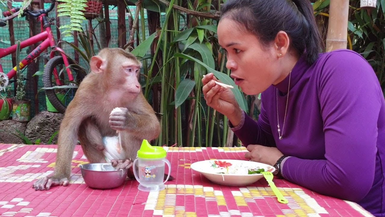 Lovely Koko eating Khmer Noodles with his mommy /Koko&Yoko official ...