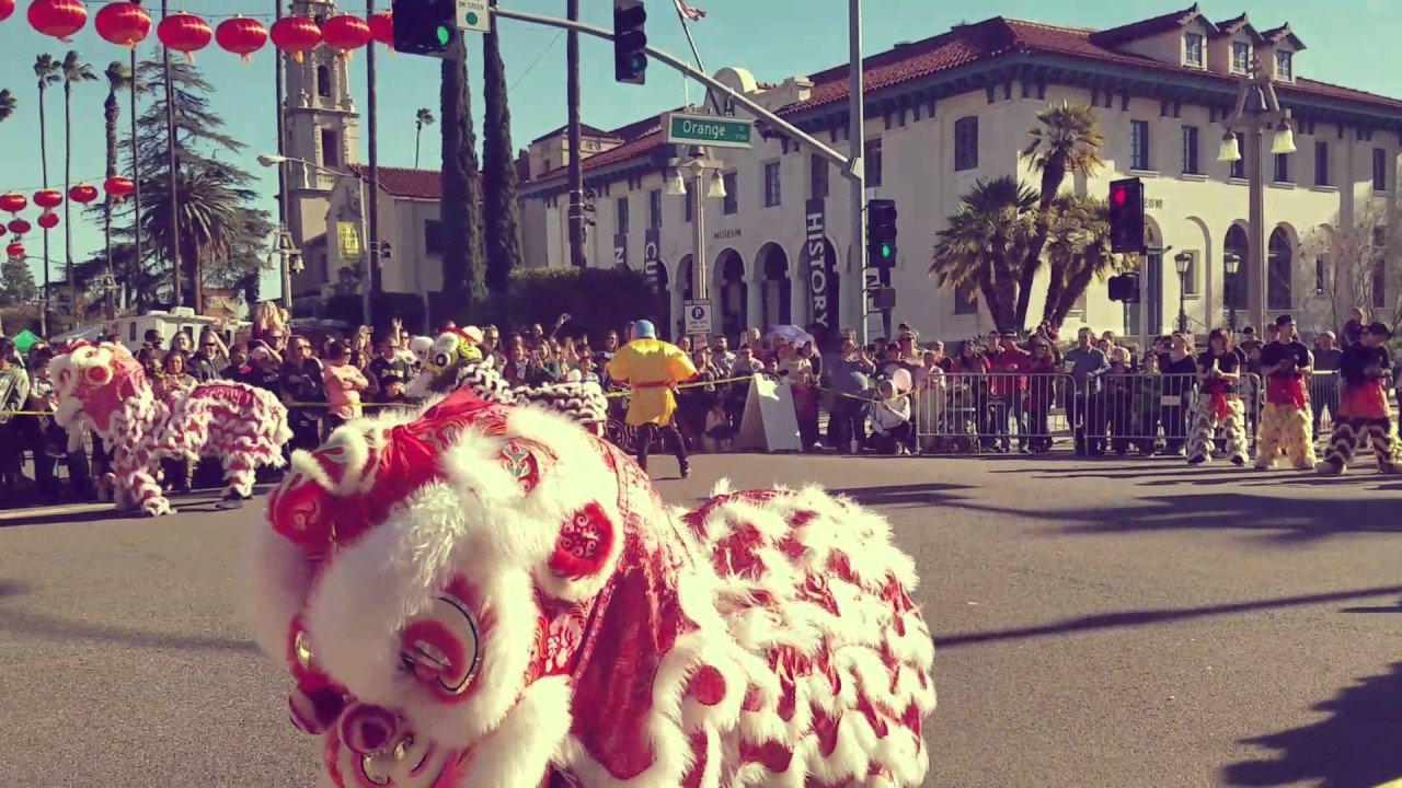 Dog Dance Chinese New year 2017 - YouTube