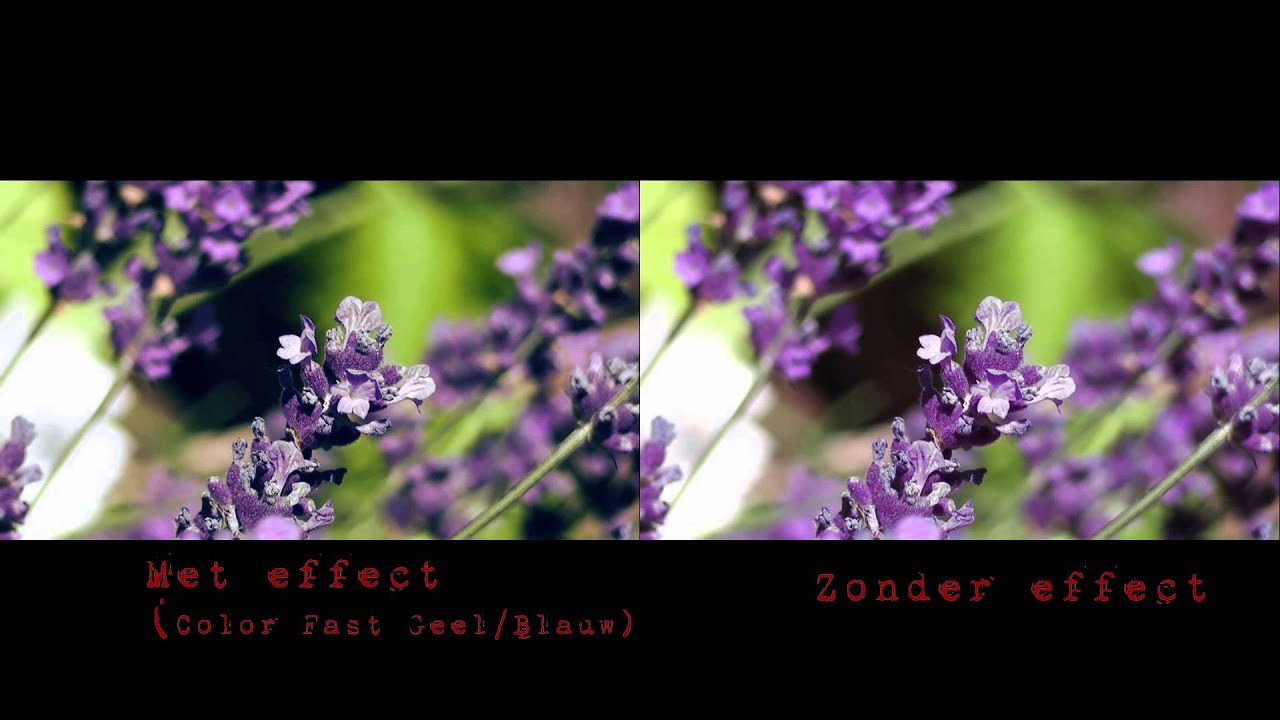 New Blue Color Fast Keygen - crummsclass