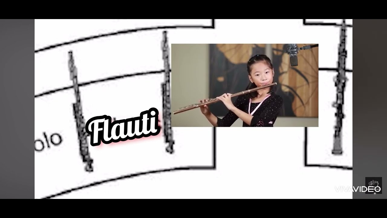 Instrumentet e Orkestres - YouTube