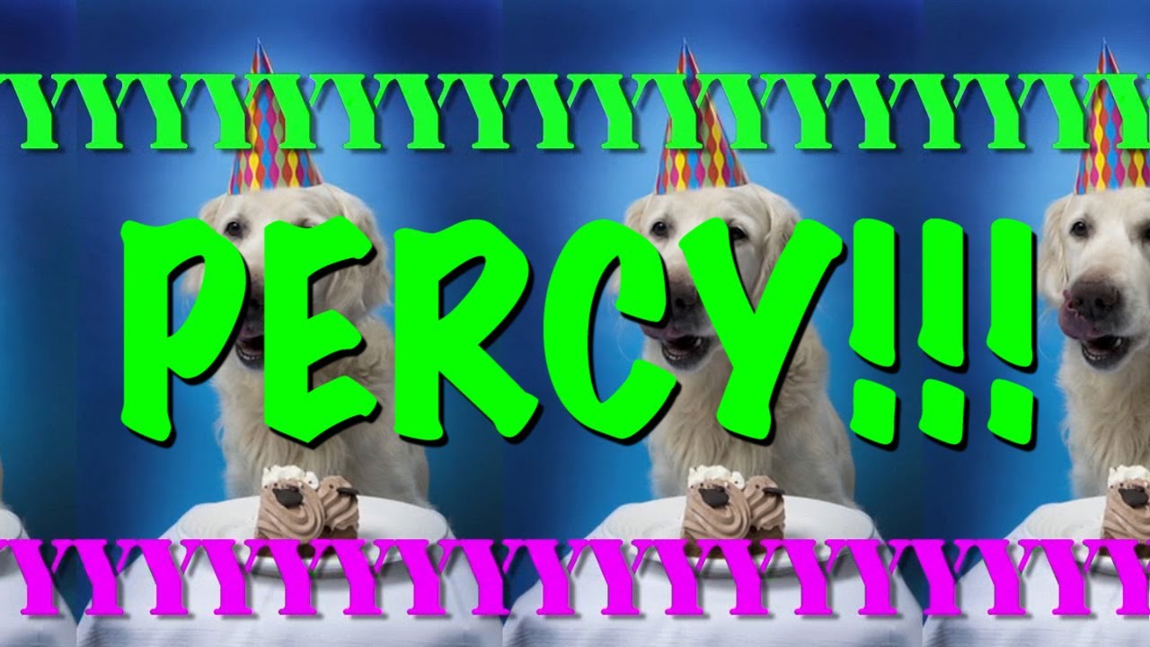 HAPPY BIRTHDAY PERCY! - EPIC Happy Birthday Song - YouTube