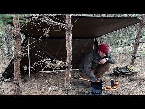 Cooking french fries & chicken on a camp stove. Tarp tent. Solo camping ...